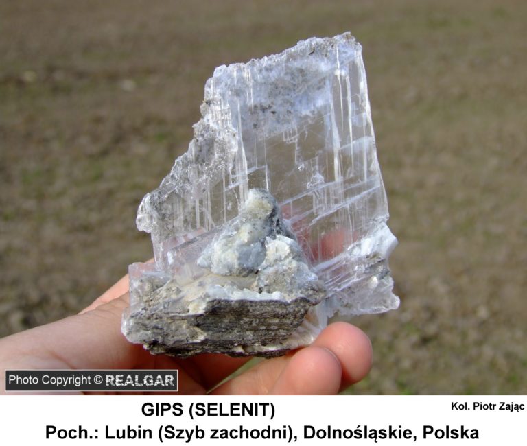 GYPSUM - Minerał Gips