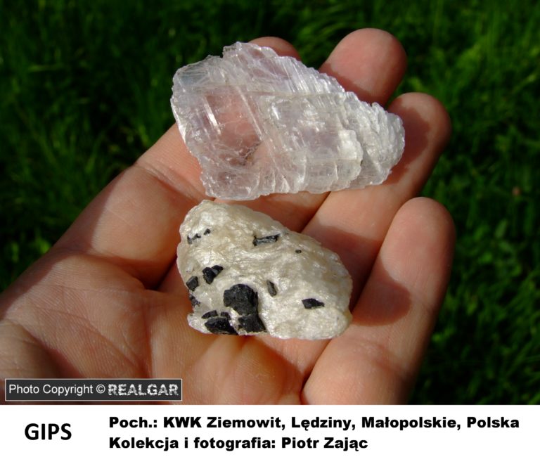 GYPSUM - Minerał Gips