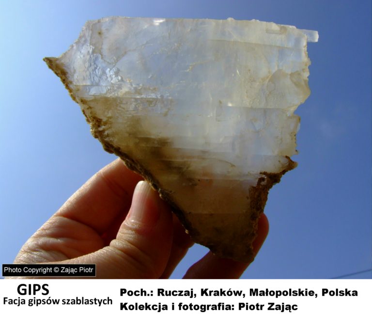 GYPSUM - Minerał Gips