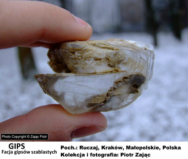 GYPSUM - Minerał Gips