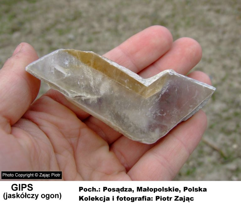 GYPSUM - Minerał Gips