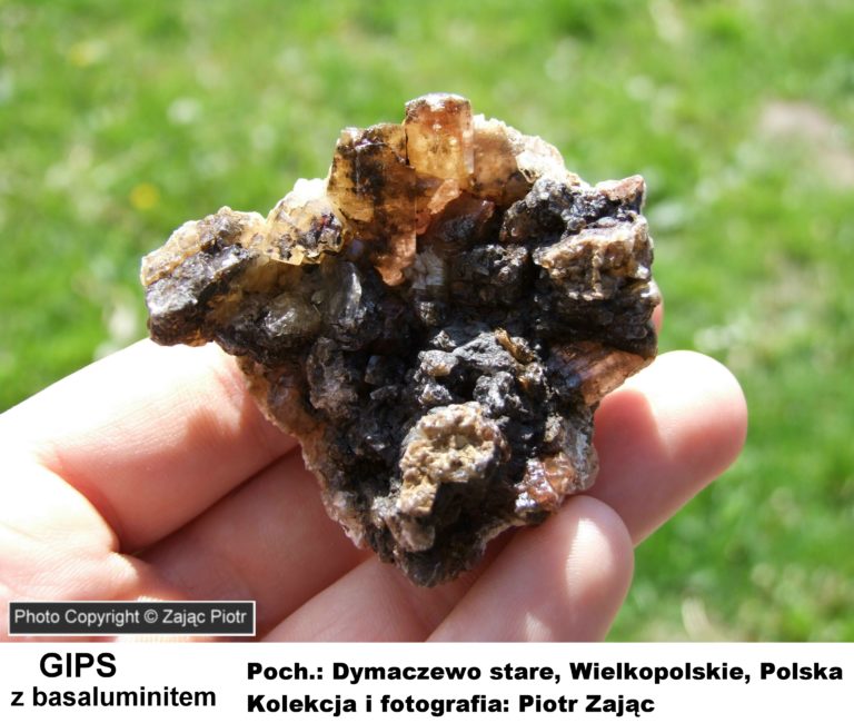 GYPSUM - Minerał Gips