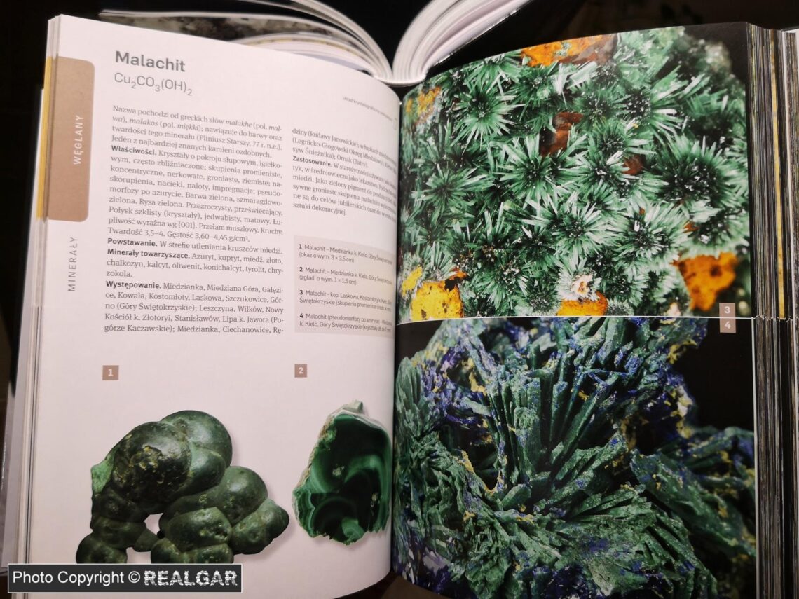 MINERAŁY I SKAŁY POLSKI. Recenzja