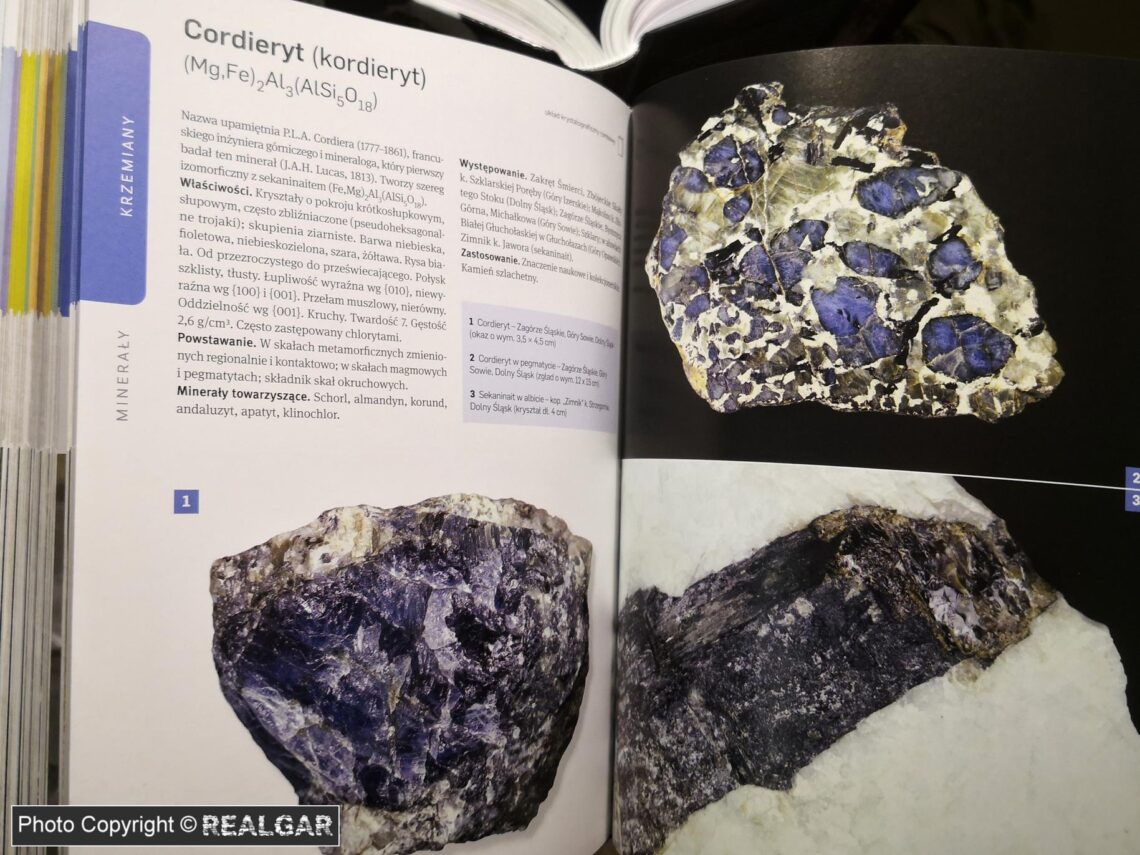MINERAŁY I SKAŁY POLSKI. Recenzja